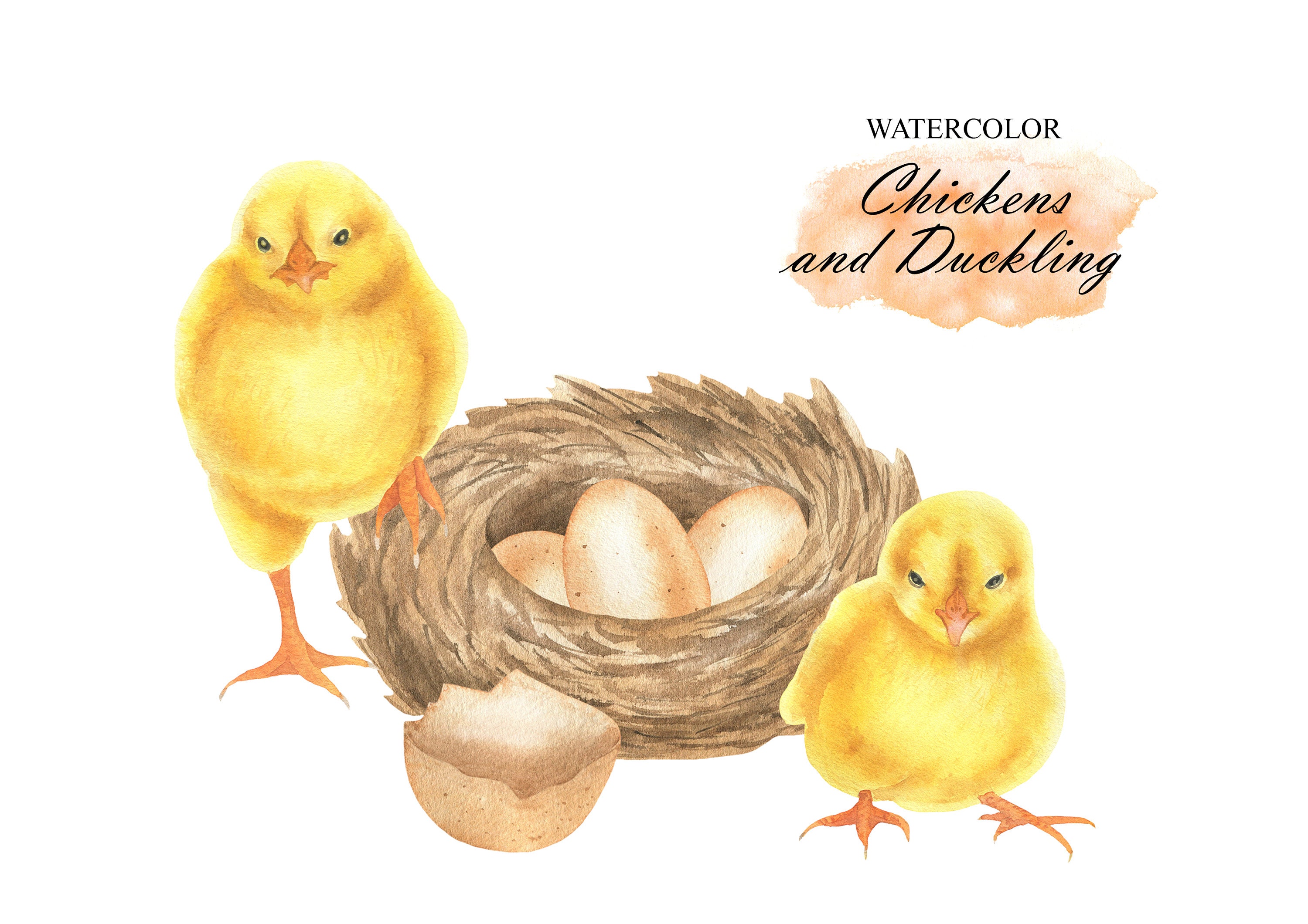 Watercolor Chickens and Duckling Clipart, Farm Birds Set, Spring Chicks ...