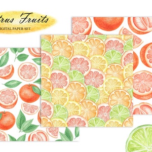 Watercolor Citrus Fruits Digital Paper, Lemon, Lime, Orange, Grapefruit ...