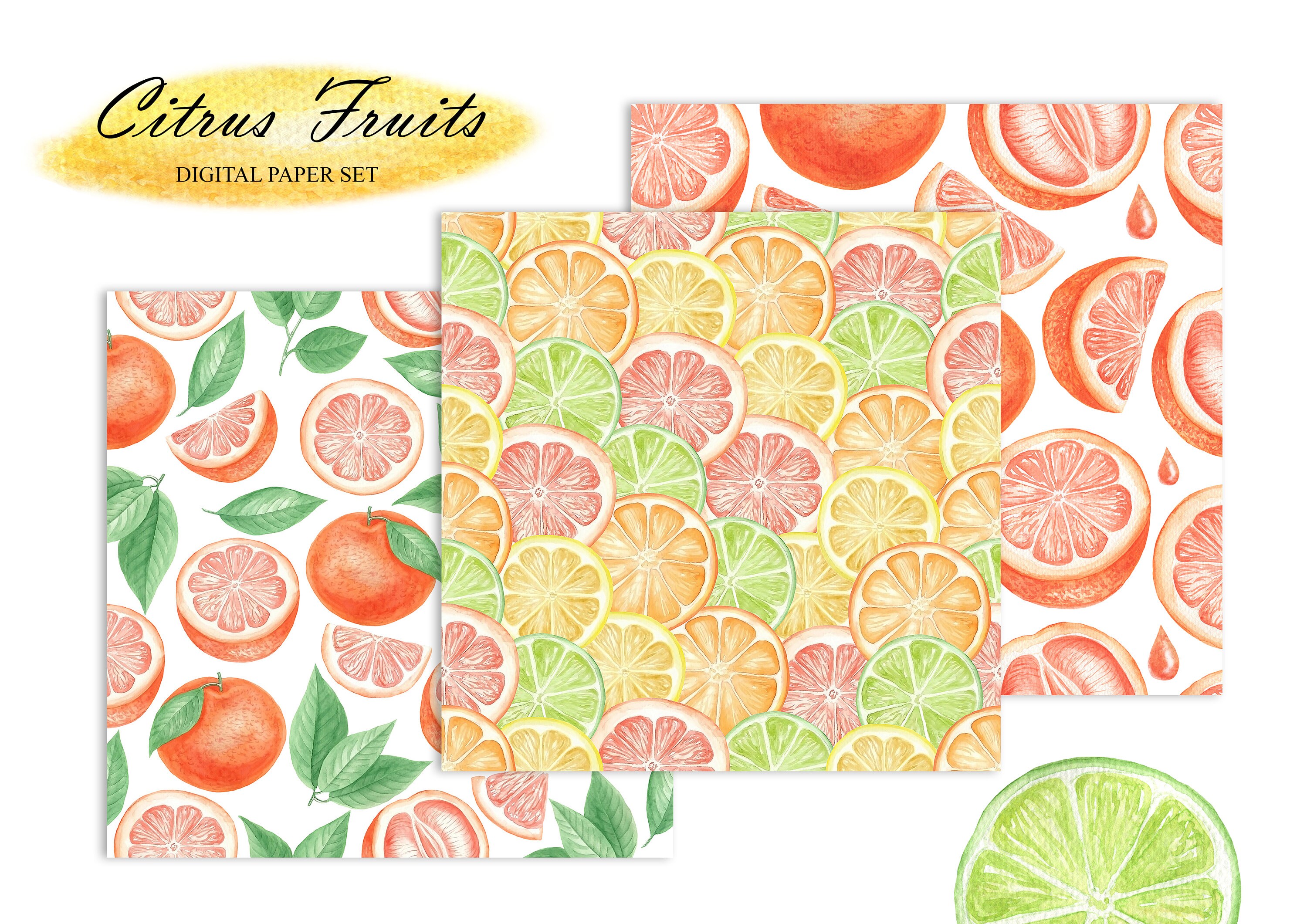 Watercolor Citrus Fruits Digital Paper Lemon Lime Orange - Etsy