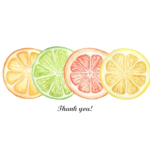 Watercolor Citrus Fruit Clipart, Slices of Citrus Lemon, Orange ...