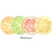 Watercolor Citrus Fruit Clipart, Slices of Citrus Lemon, Orange ...
