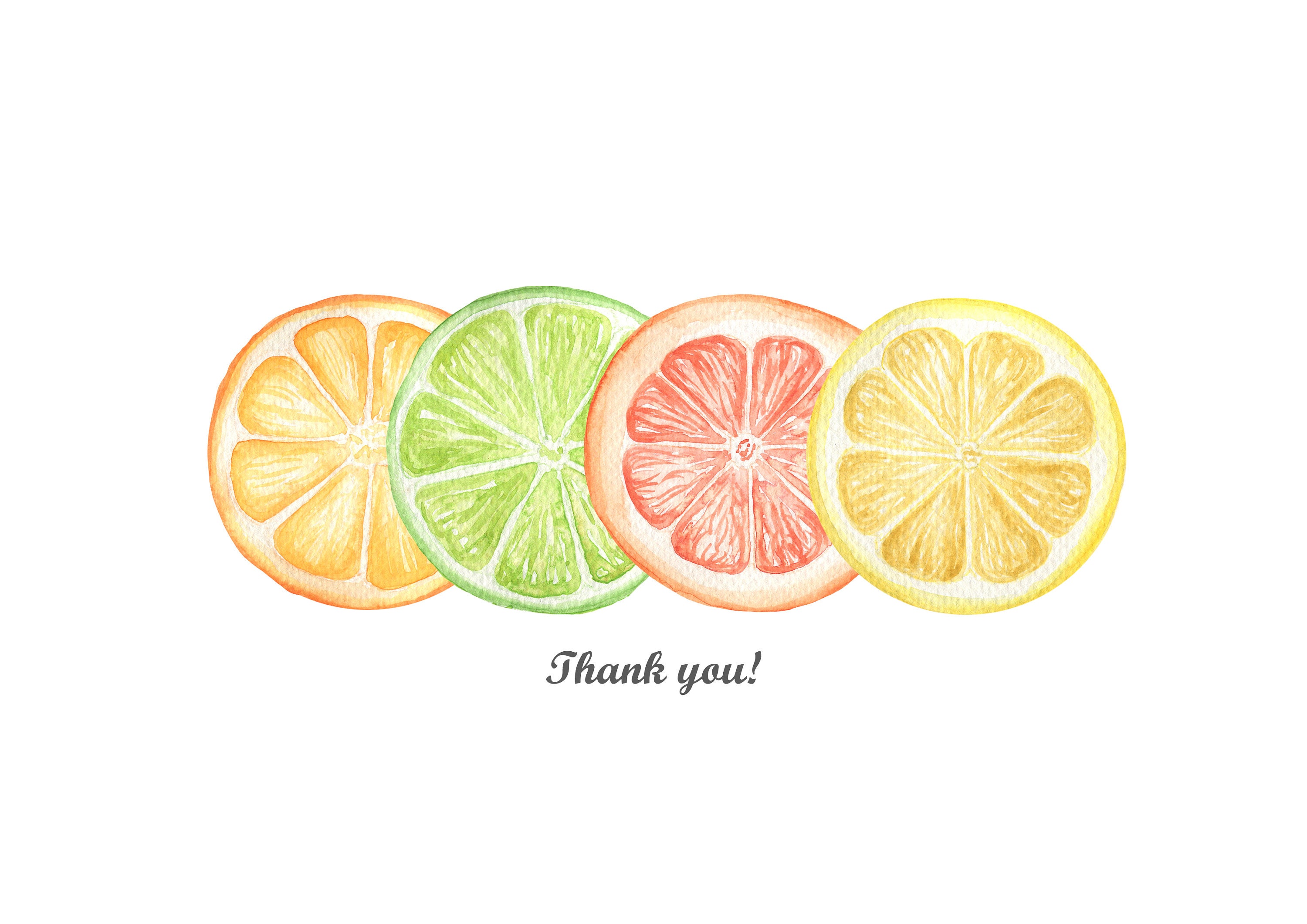 Watercolor Citrus Fruit Clipart Slices of Citrus Lemon | Etsy