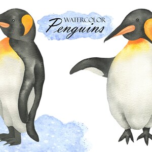 Watercolor Penguin Clipart, Winter Clip Art, Arctic Animals, Winter ...