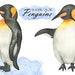 Watercolor Penguin Clipart, Winter Clip Art, Arctic Animals, Winter ...