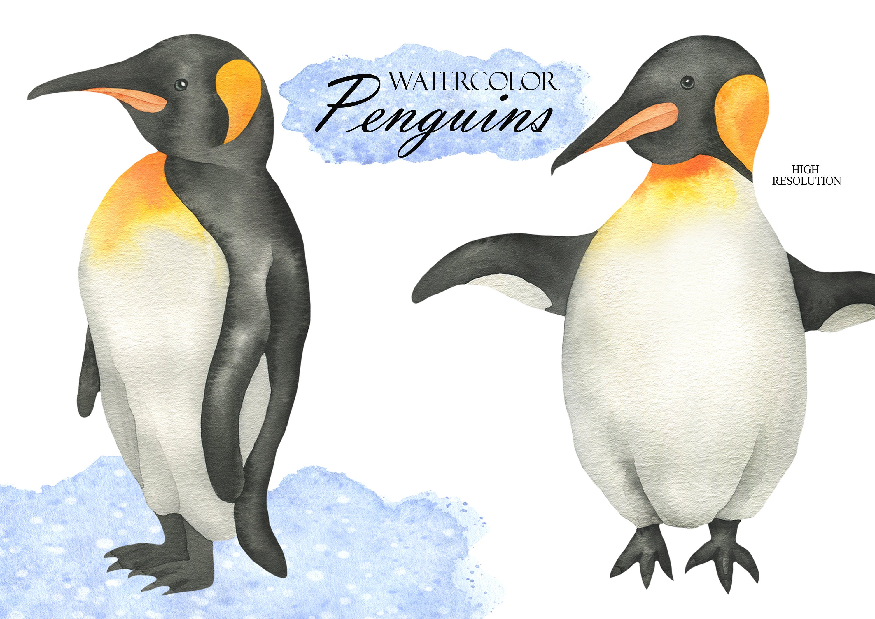 Watercolor Penguin Clipart, Winter Clip Art, Arctic Animals, Winter ...