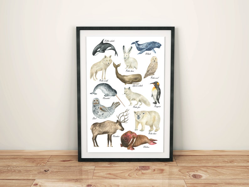 Watercolor Arctic Animal Clip Art, Polar Animals, Reindeer, Bear, Fox ...