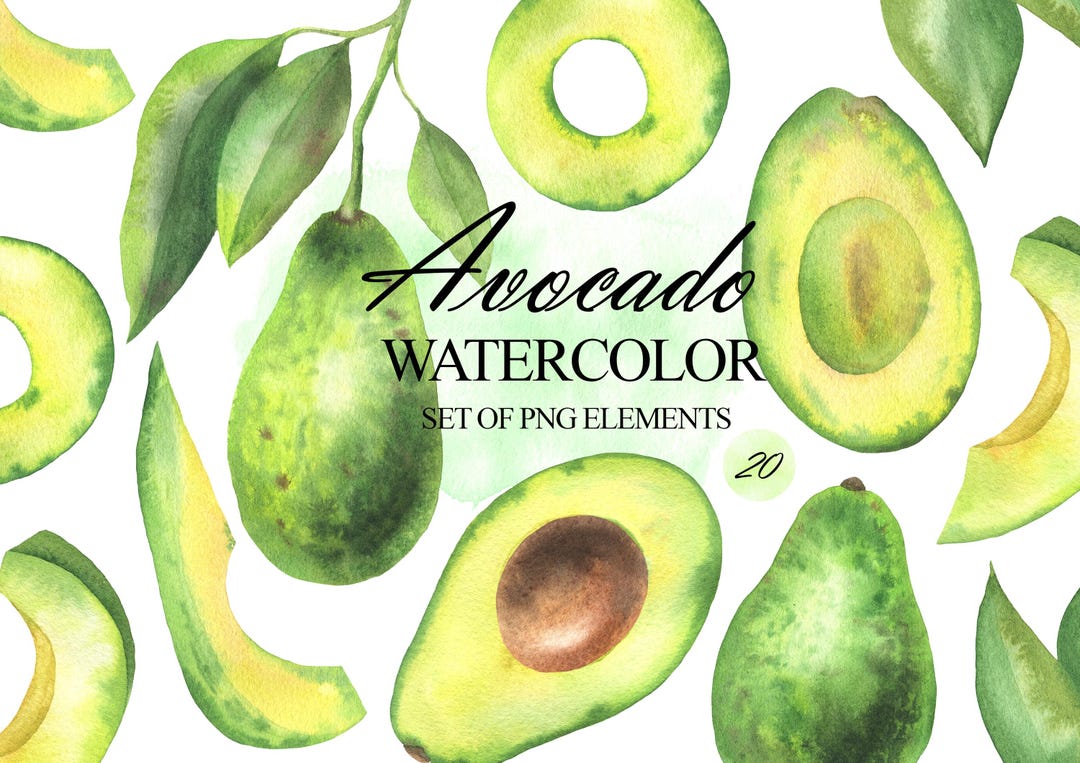 Watercolor Avocado Clip Art, Avocado Slices and Leaves Clipart, Avocado ...