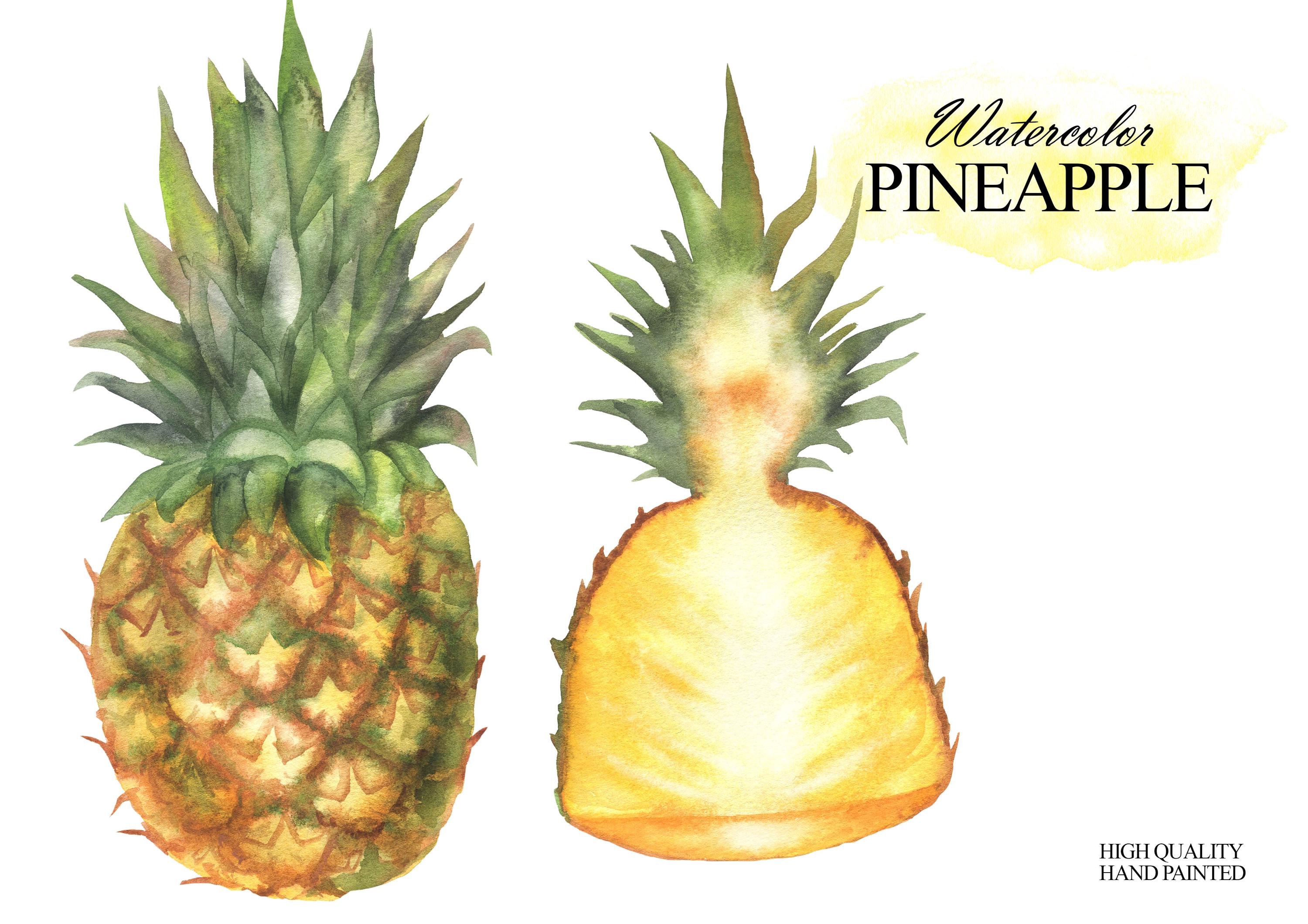 Tropical Watercolor Pineapple Clipart Set, Vibrant Pineapple Graphics ...