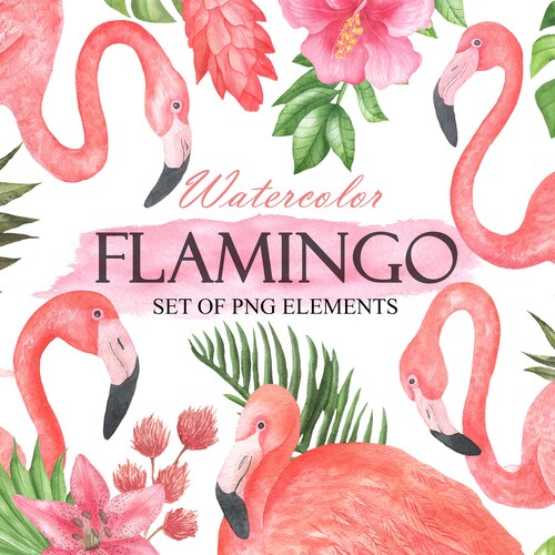 Watercolor Flamingo Clipart Cute Tropical Clip Art Summer - Etsy