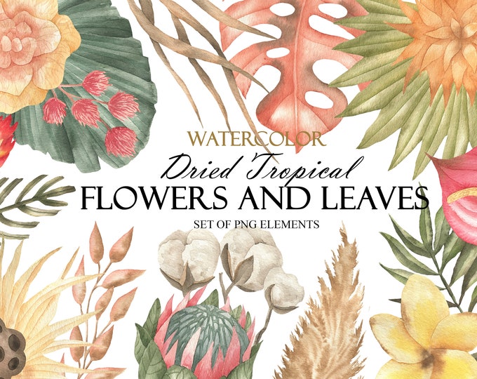 Watercolor Boho Frame Clipart, Palm Boho Floral Borderds Png, Dried ...
