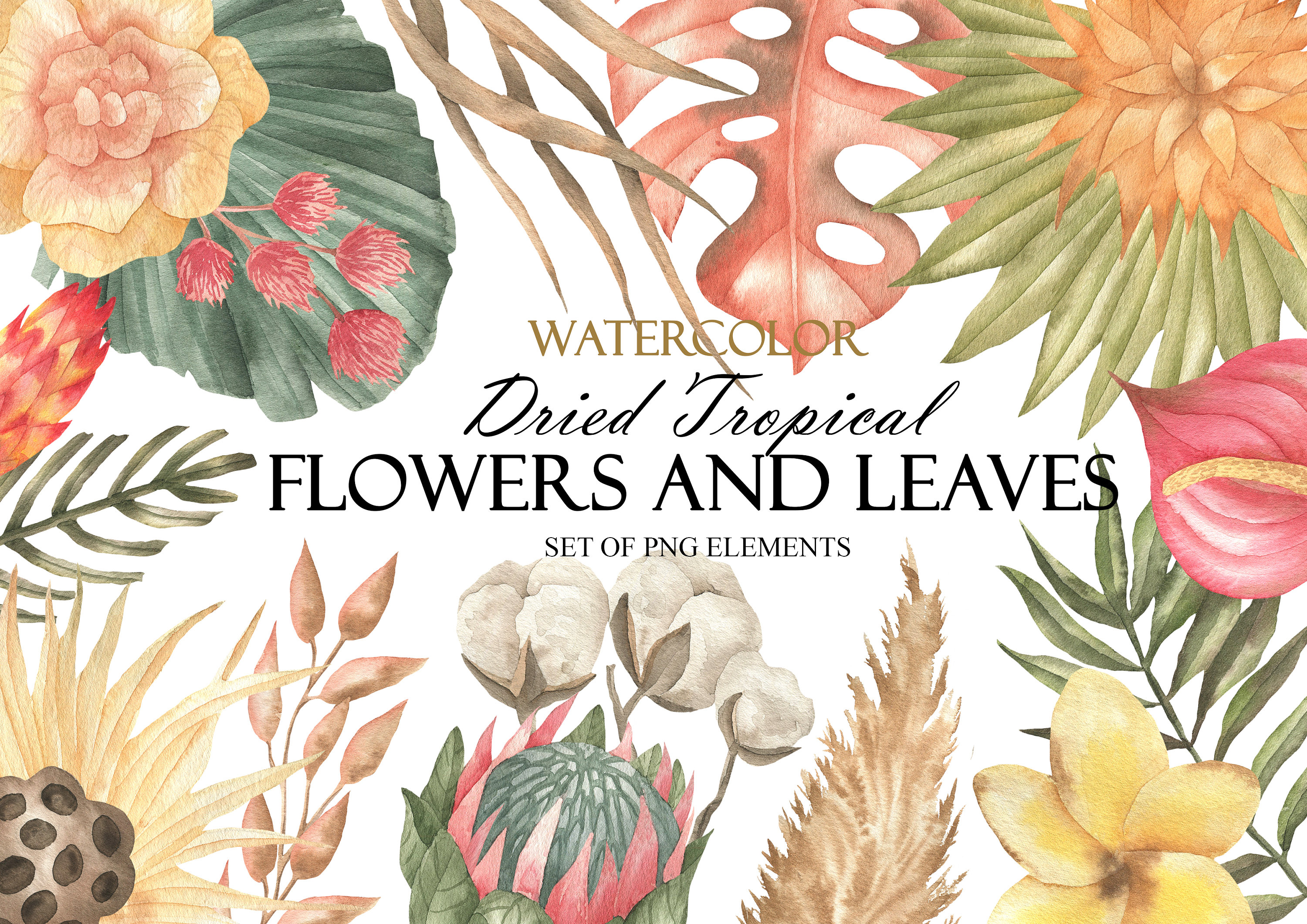 Watercolor Boho Floral Clipart, Dried Tropical Flowers and Leaves, Palm ...