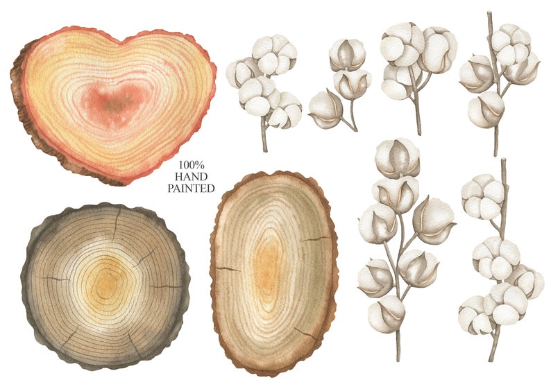 Watercolor Wood Slice and Cotton Clipart, Floral Wooden Slices, Rustic ...