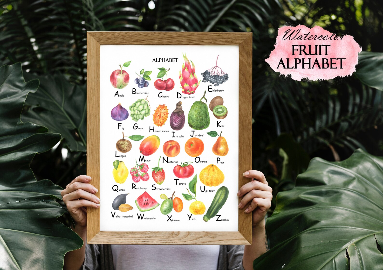 Watercolor Fruit Alphabet Clipart 2, Fruits ABC, Alphabet Poster ...