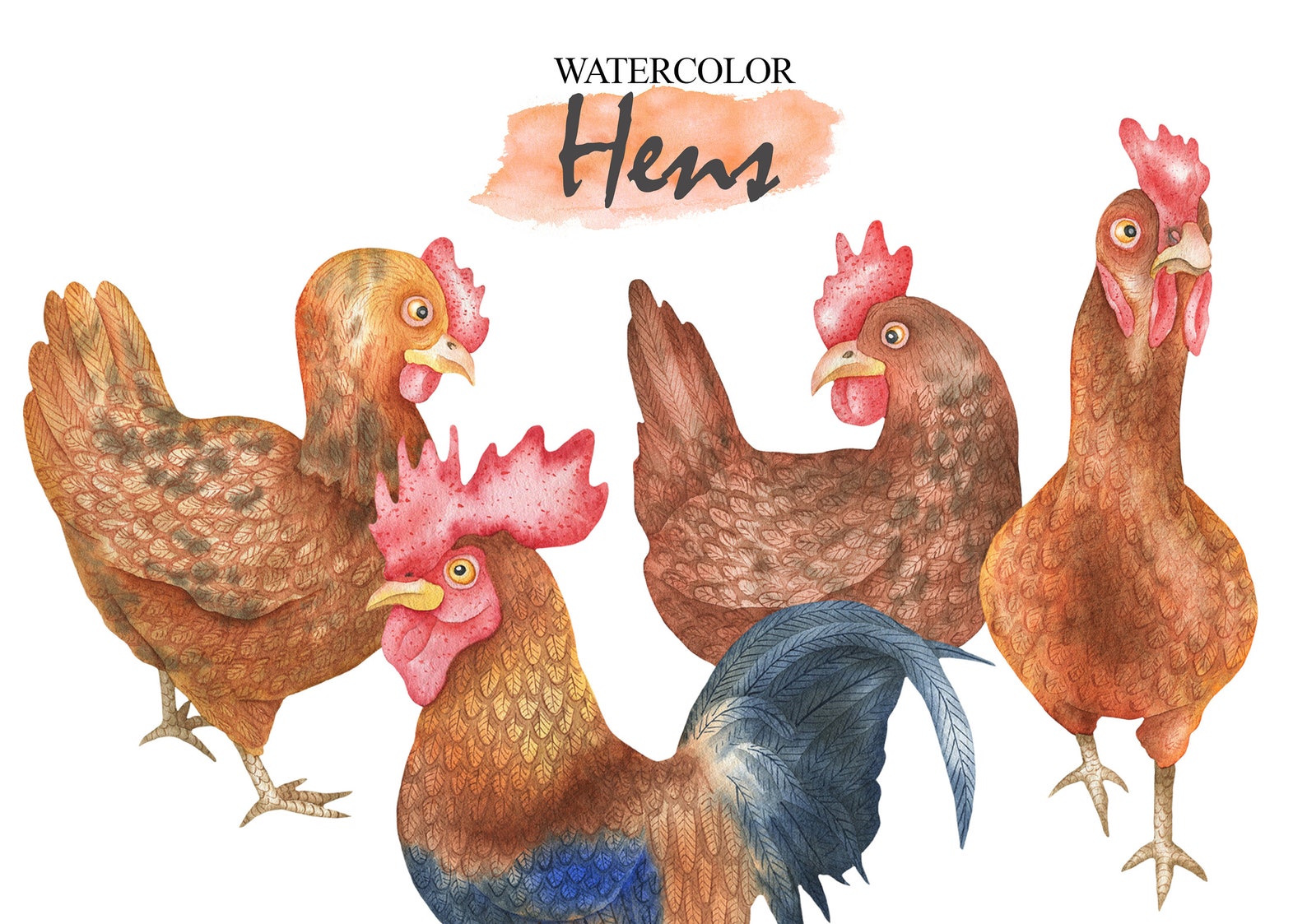 Watercolor Hens and Chickens Clipart, Farm Animals Clipart, Rooster ...