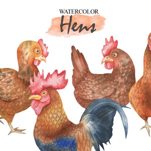 Watercolor Hens and Chickens Clipart, Farm Animals Clipart, Rooster ...