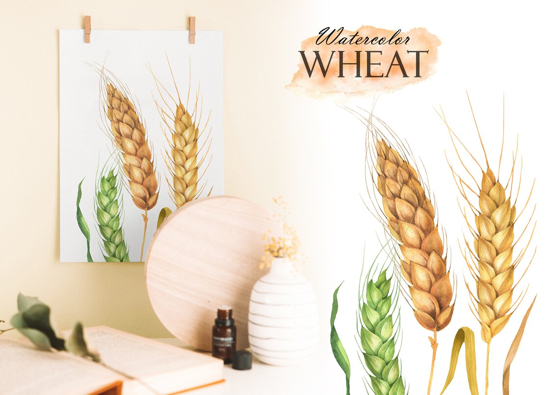Watercolor Wheat Clipart, Golden and Green Wheat Clip Art, Farm Harvest ...