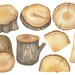 Watercolor Wood Slice Clipart, Tree Slices, Rustic Woodland Clipart ...