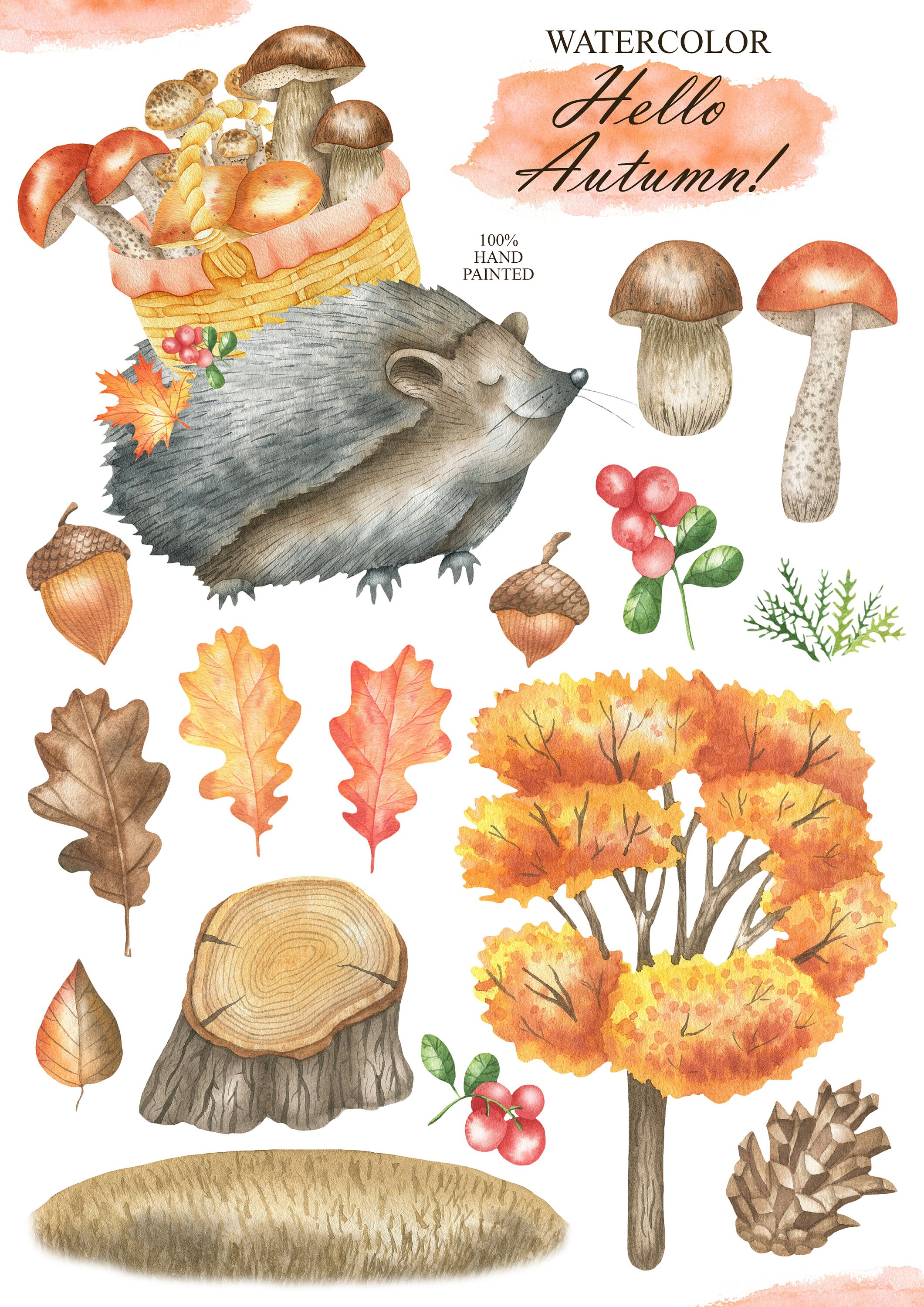 Watercolor Fall Forest Clipart Autumn Clip Art Woodland - Etsy