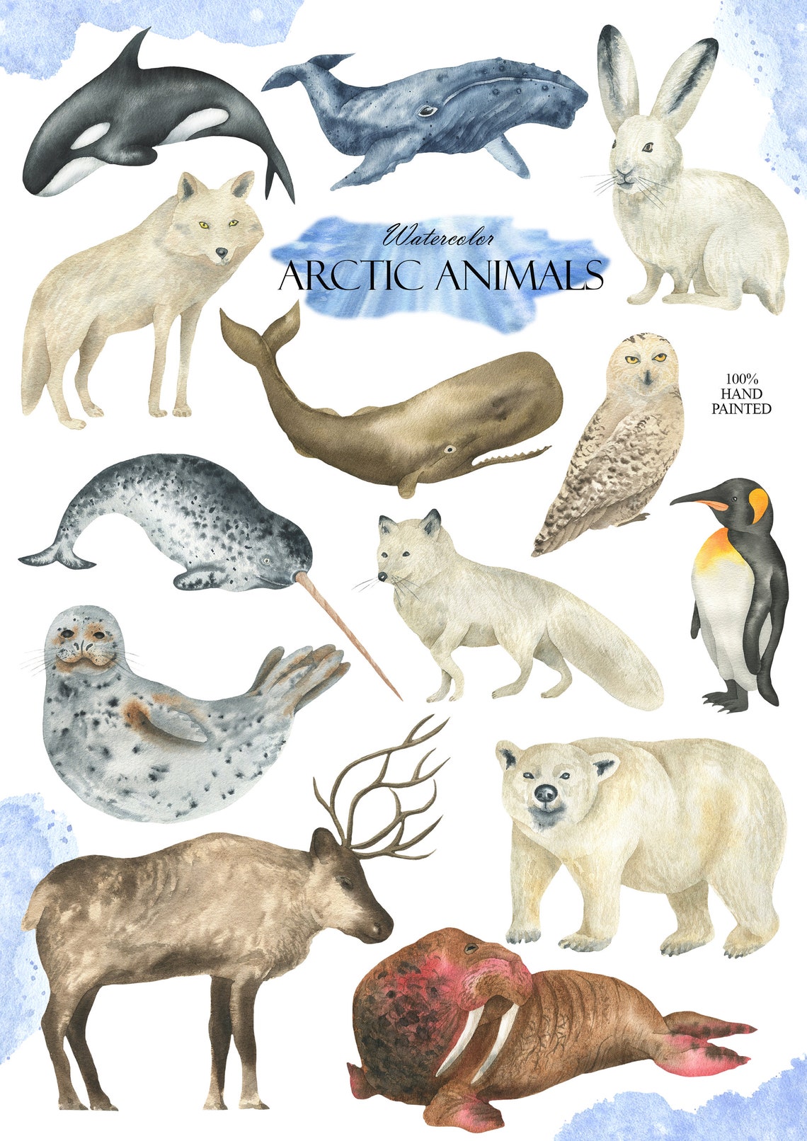 Watercolor Arctic Animal Clip Art, Polar Animals, Reindeer, Bear, Fox ...