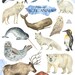 Watercolor Arctic Animal Clip Art, Polar Animals, Reindeer, Bear, Fox ...