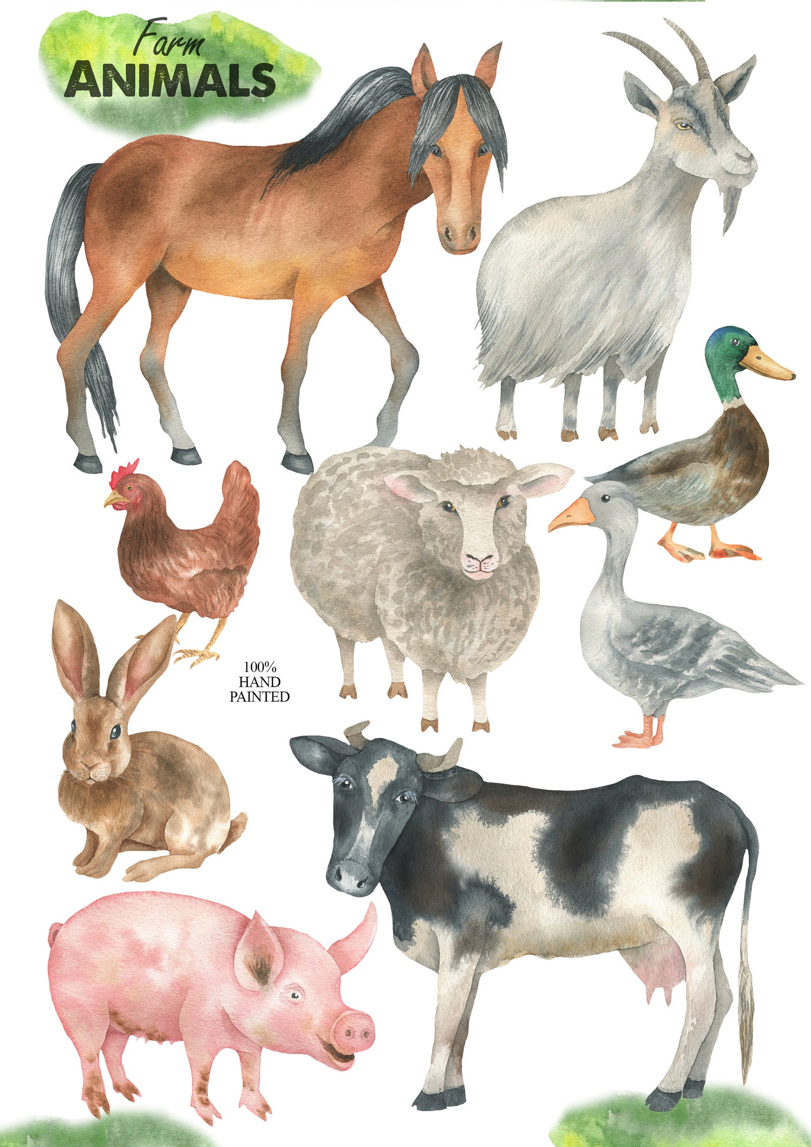 Farm Animals Clipart Watercolor Cow Horse Pig Sheep Duck - Etsy