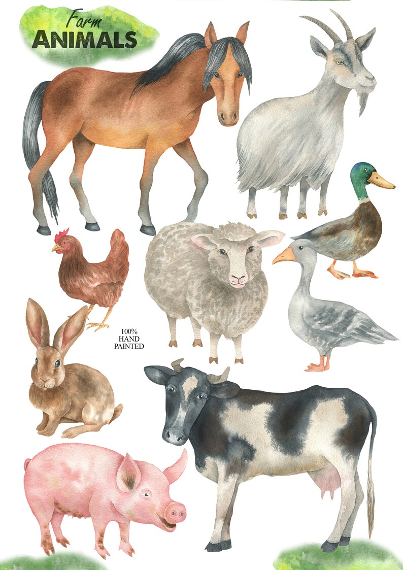 Farm Animals Clipart, Watercolor Cow, Horse, Pig, Sheep, Duck, Chicken ...
