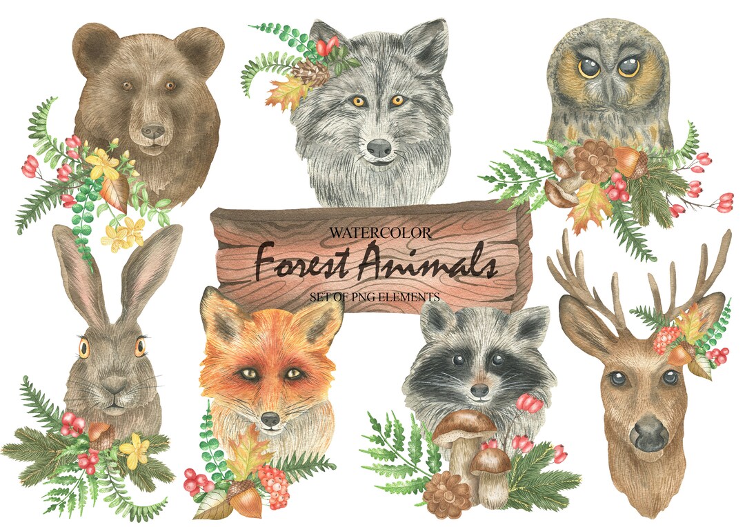 Watercolor Woodland Animals Clipart, Nursery Art, Wall Decor, Fox, Owl ...