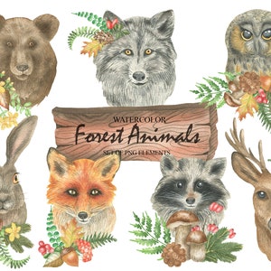 Watercolor Woodland Animals Clipart, Nursery Art, Wall Decor, Fox, Owl ...
