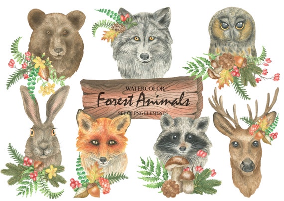Watercolor Woodland Animals Clipart Nursery Art Wall Decor | Etsy