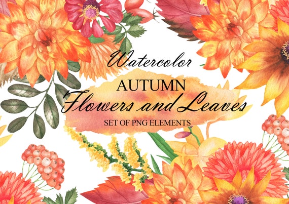 Watercolor Autumn Flowers And Leaves Clipart Fall Autumn | Etsy