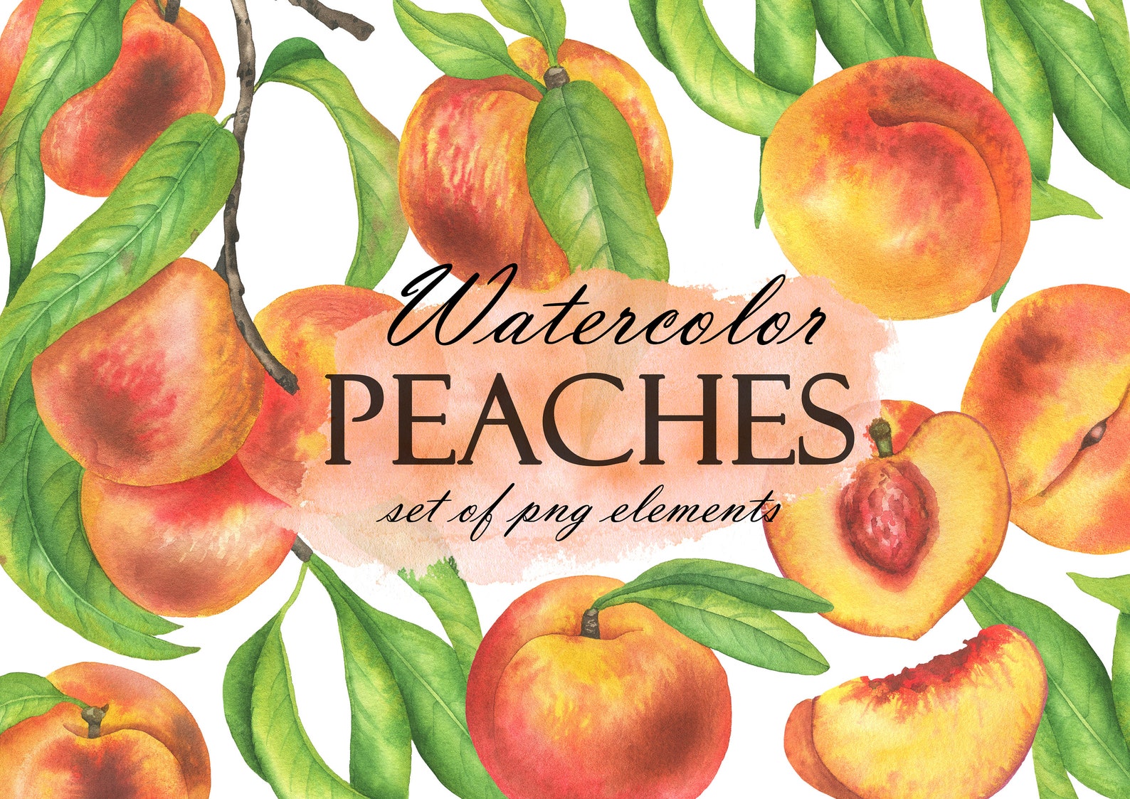 Watercolor Peach Clipart Peaches Clip Art Slices Of Peach Fresh