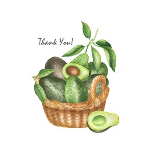 Watercolor Avocado Clipart, Tropical Fruit Clip Art, Avocado Print ...