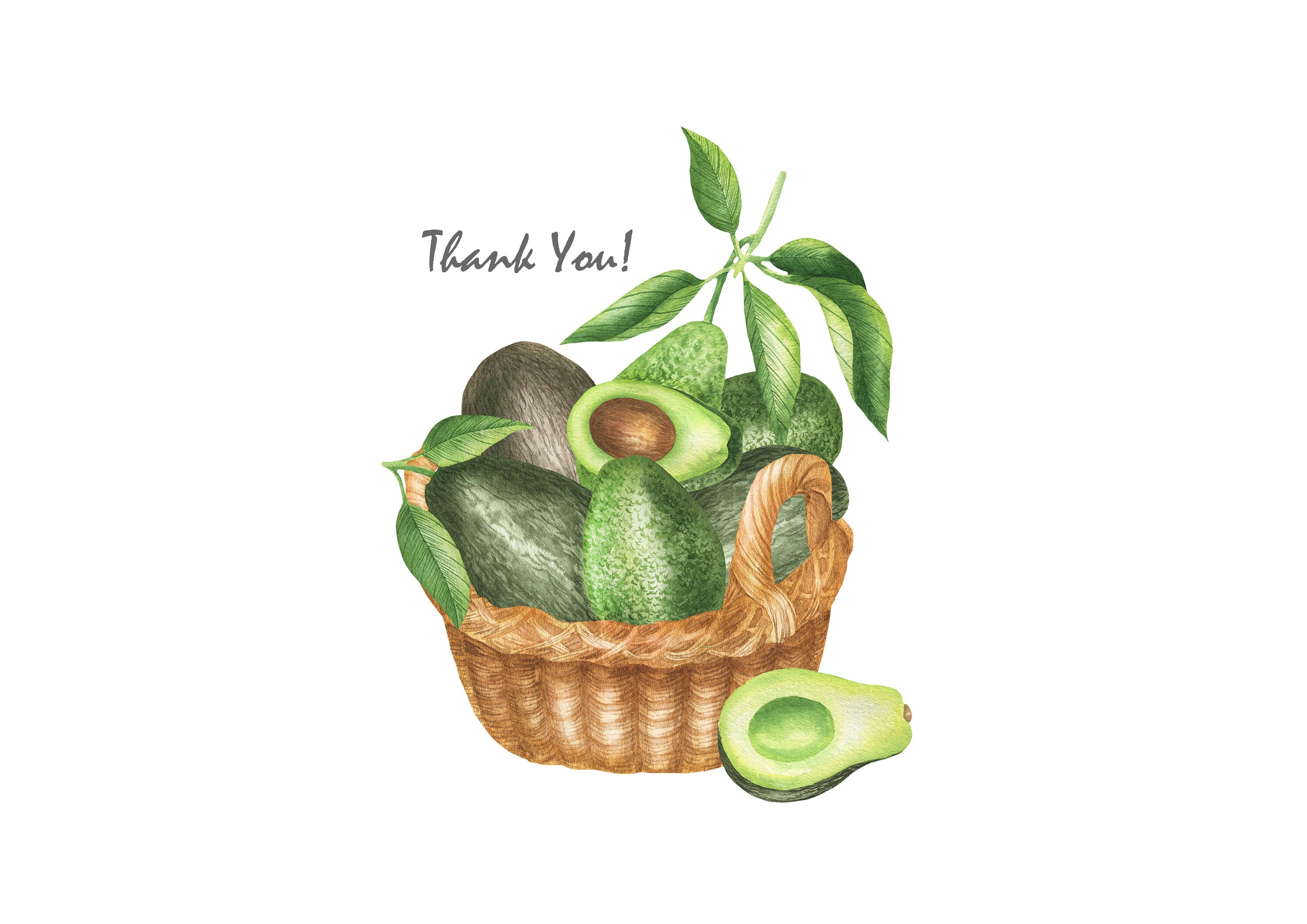 Watercolor Avocado Clipart, Tropical Fruit Clip Art, Avocado Print ...