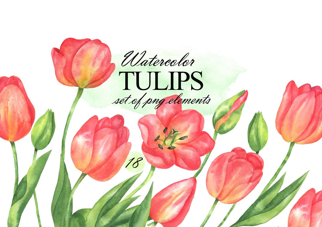 Watercolor Tulip Clipart, Red Tulips Illustration Set, Spring Flowers ...