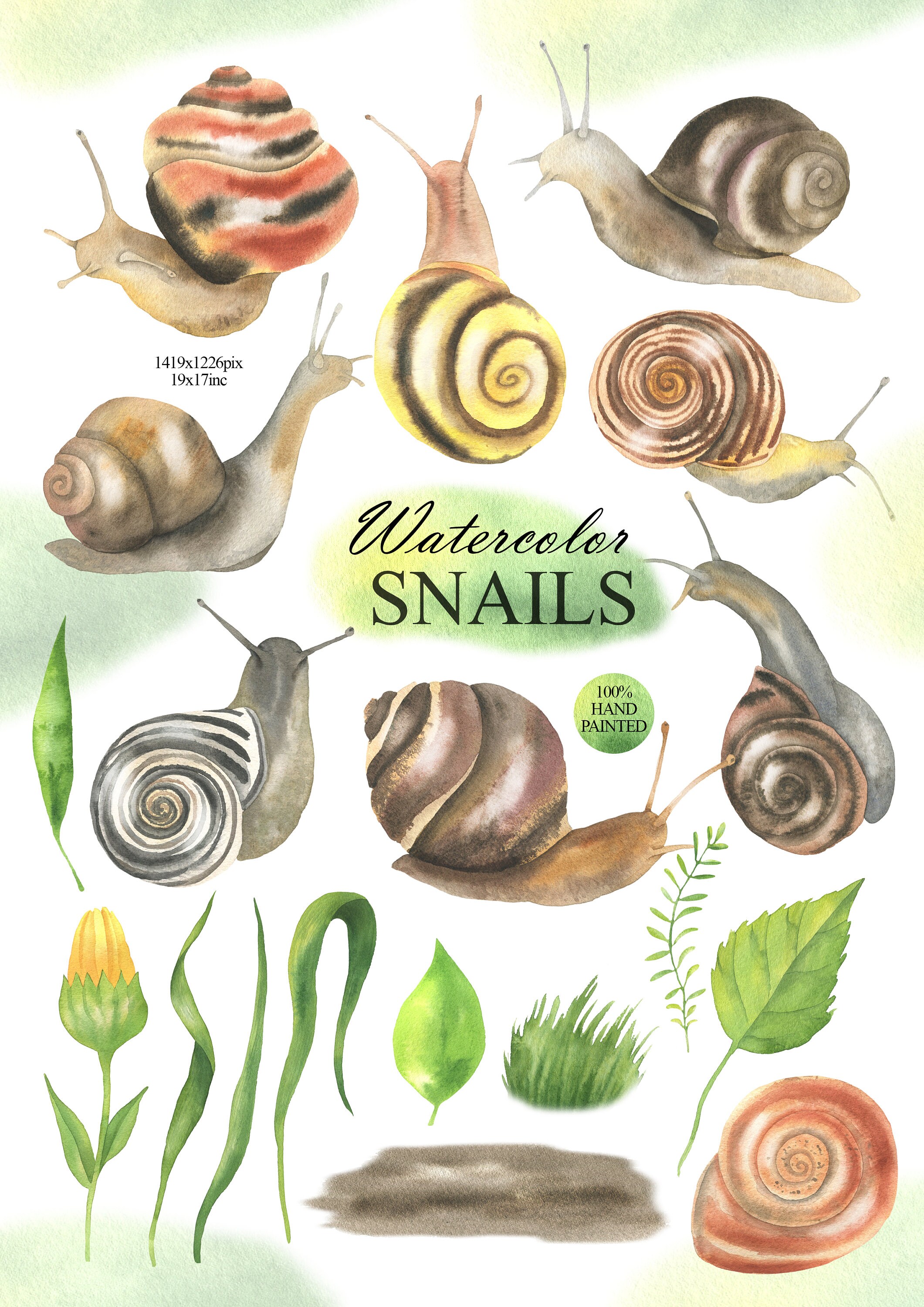 Watercolor Snail Clip Art, Colorful Snails Clipart, Garden Slug Clipart ...