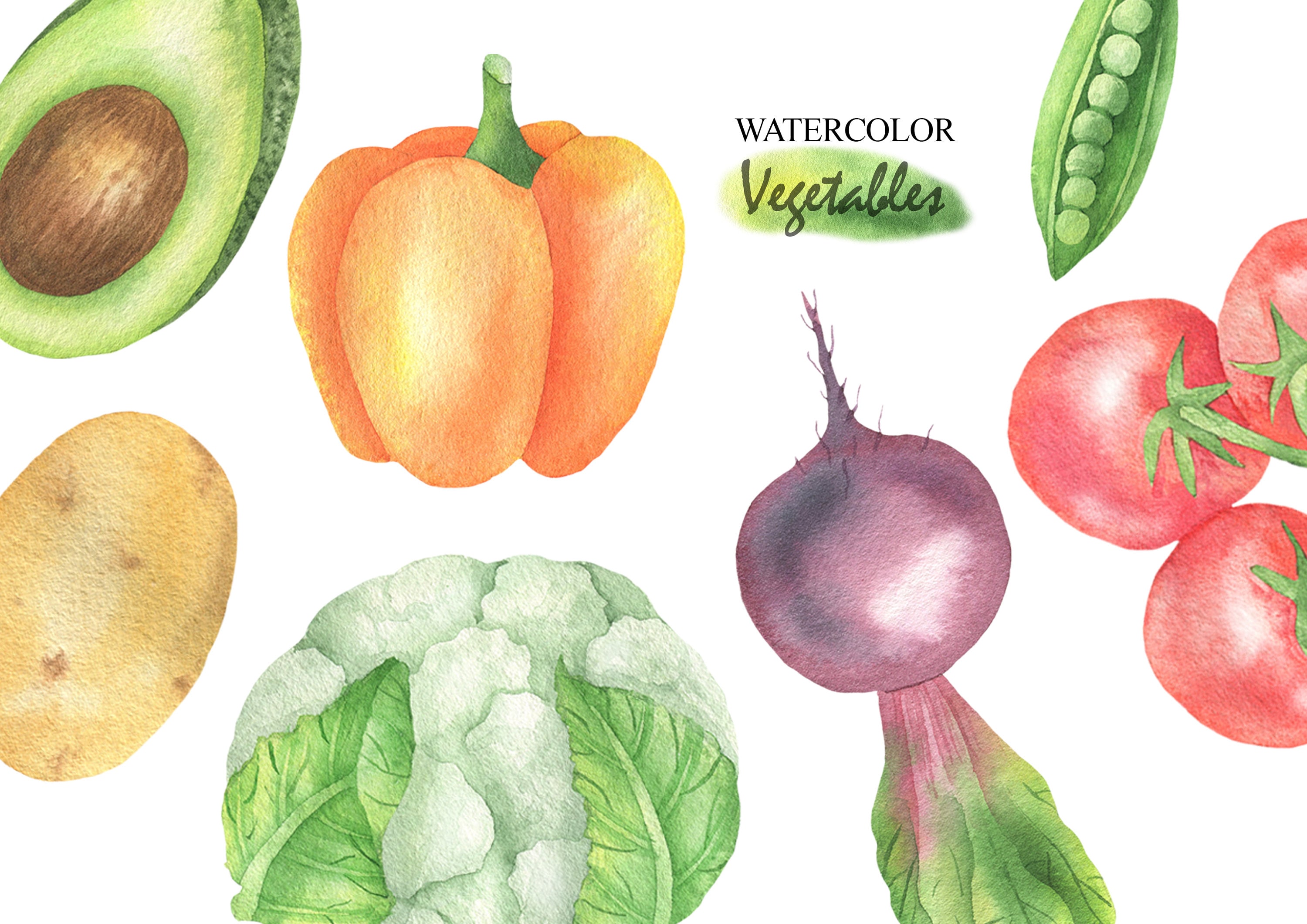 Watercolor Vegetable Clipart, Kitchen Autumn Onion, Tomato, Pepper ...