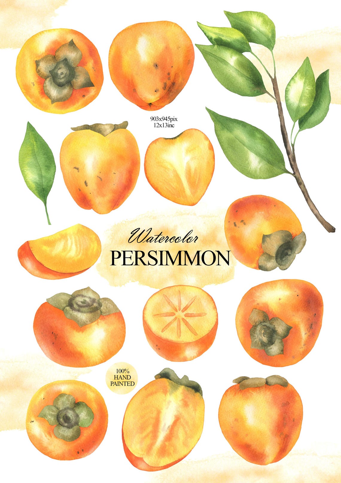 Watercolor Persimmon Clipart Set, Autumn Fruit PNG (digital Download ...