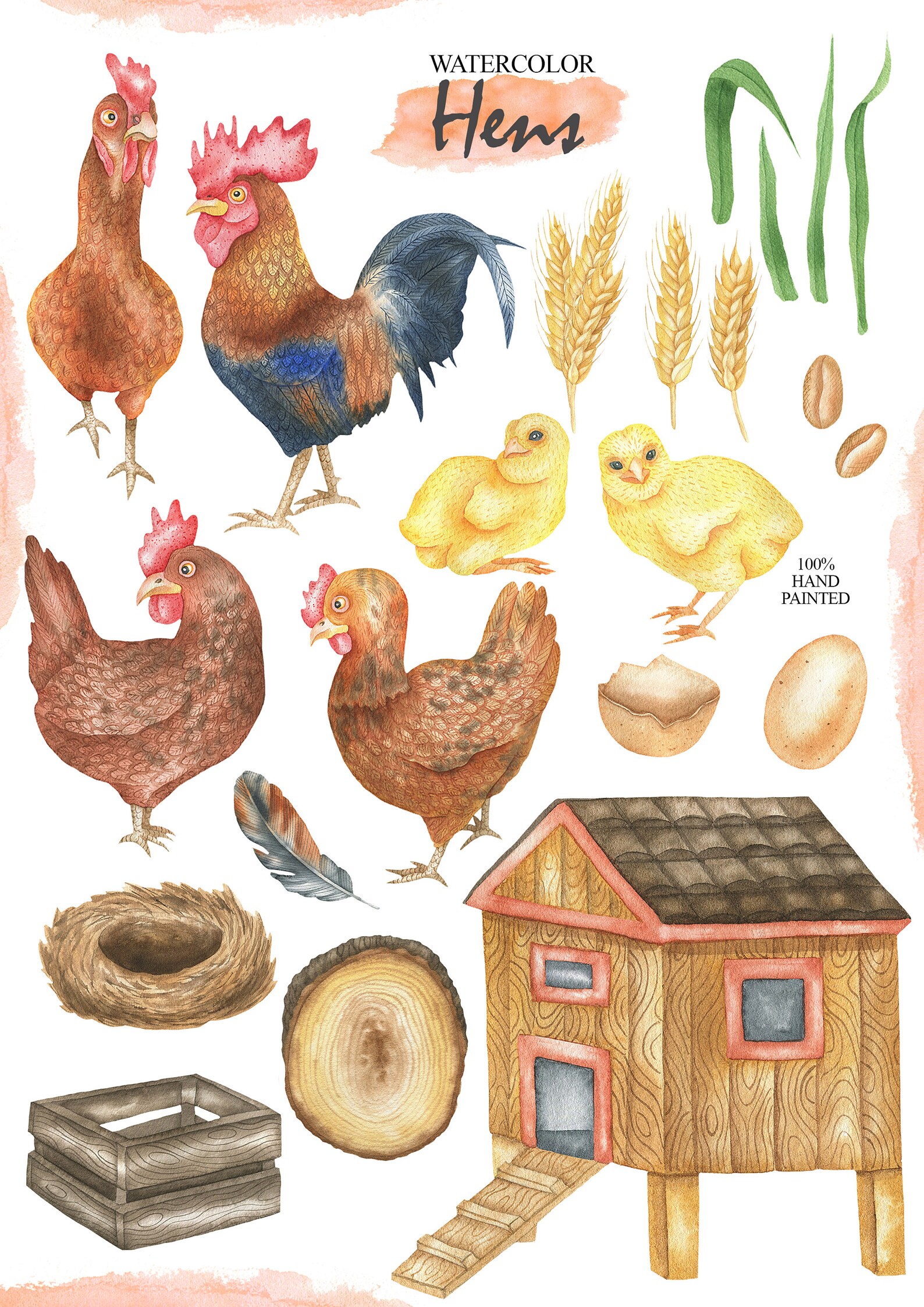 Watercolor Hens and Chickens Clipart, Farm Animals Clipart, Rooster ...