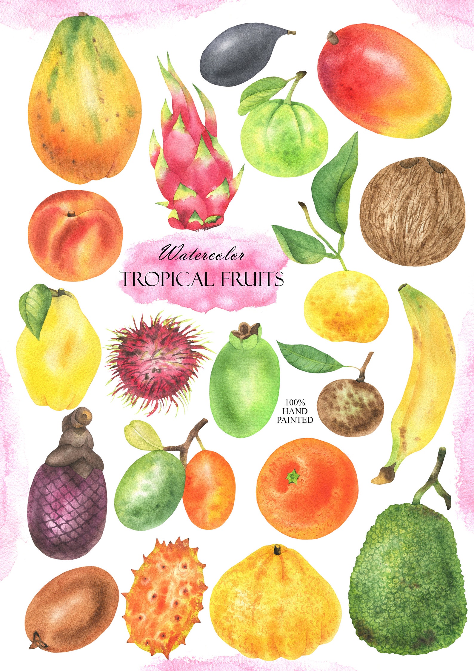 Watercolor Tropical Fruit Clipart, Summer Fresh Exotic Fruits Clip Art ...
