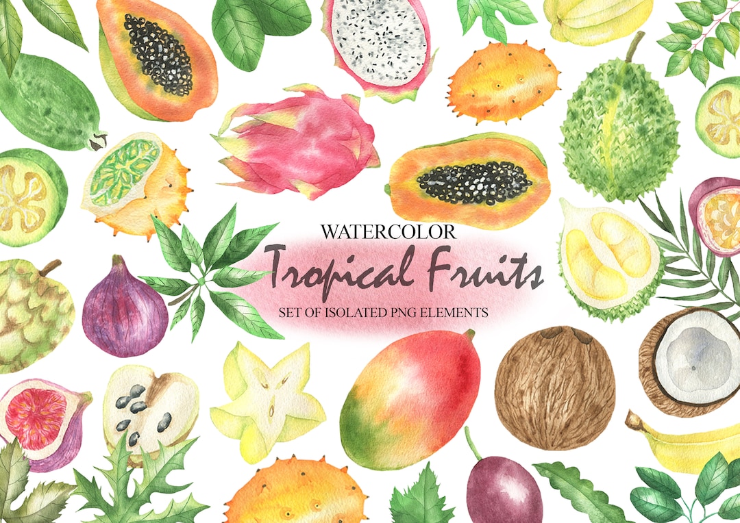Watercolor Tropical Fruit Clipart, Summer Fresh Mango, Banana, Papaya ...