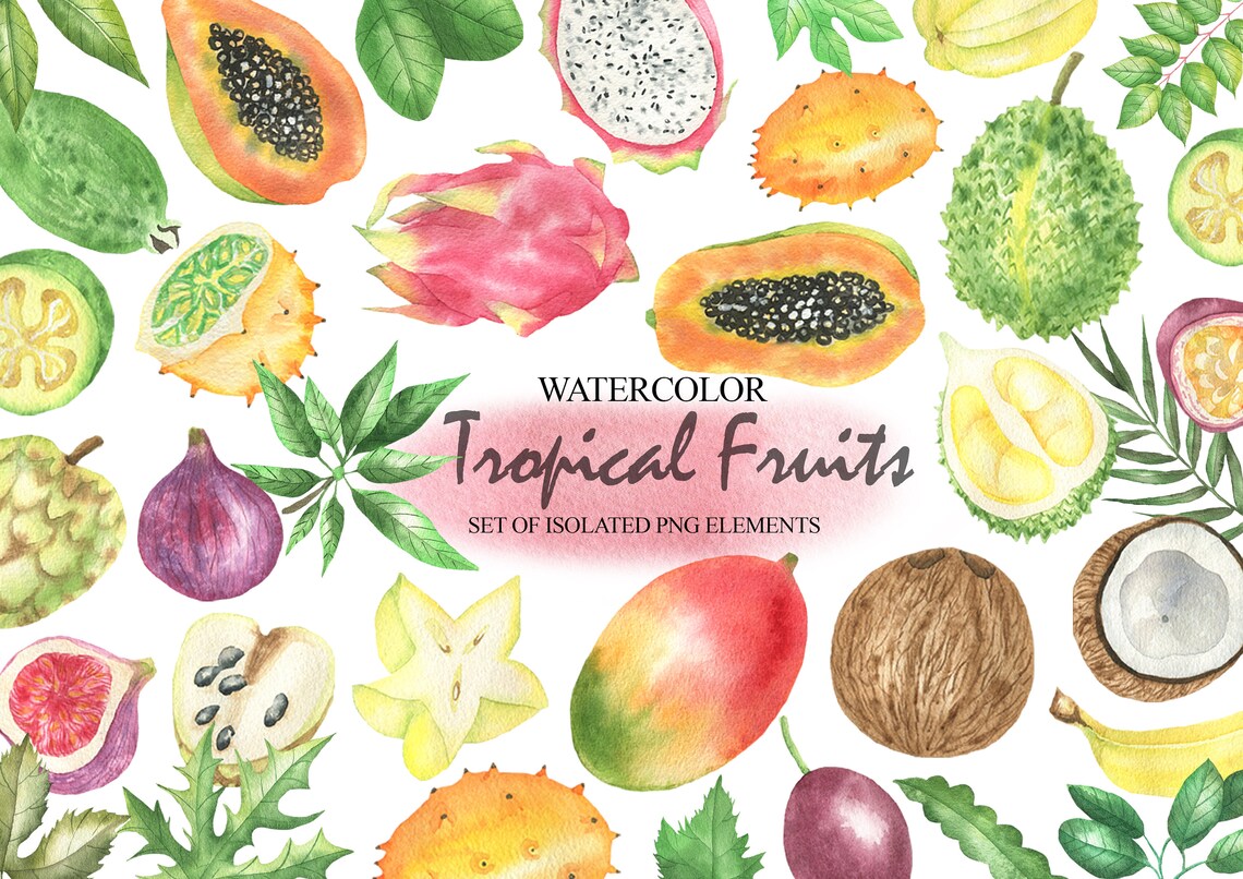 Watercolor Tropical Fruit Clipart Summer Fresh Mango Banana - Etsy
