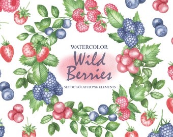 Watercolor Berries Clipart Summer Fresh Blueberries | Etsy