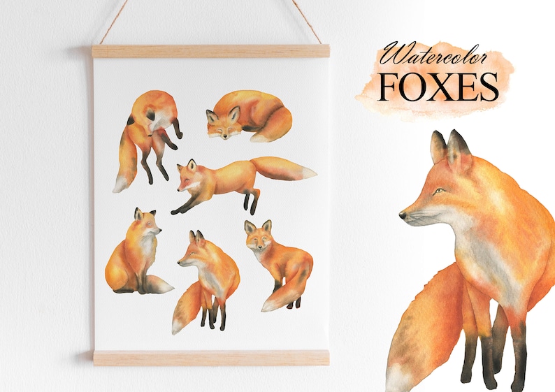 Watercolor Fox Clipart, Forest Animals, Painted Foxes, Woodland Animal ...