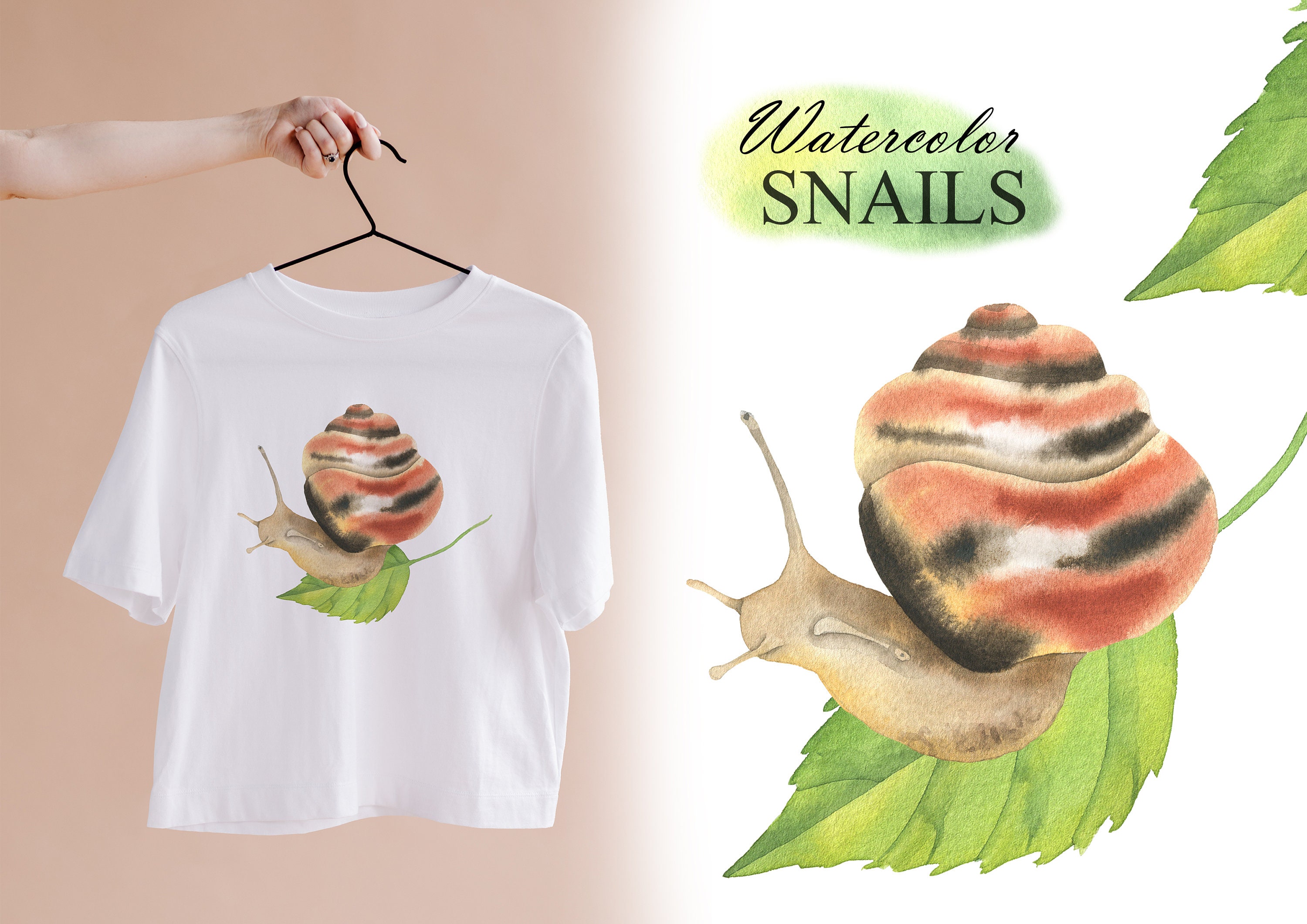 Watercolor Snail Clip Art, Colorful Snails Clipart, Garden Slug Clipart ...