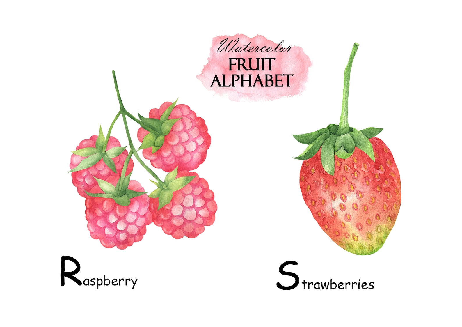 Watercolor Fruit Alphabet Clipart 2, Fruits ABC, Alphabet Poster ...