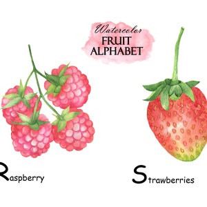 Watercolor Fruit Alphabet Clipart 2, Fruits ABC, Alphabet Poster ...