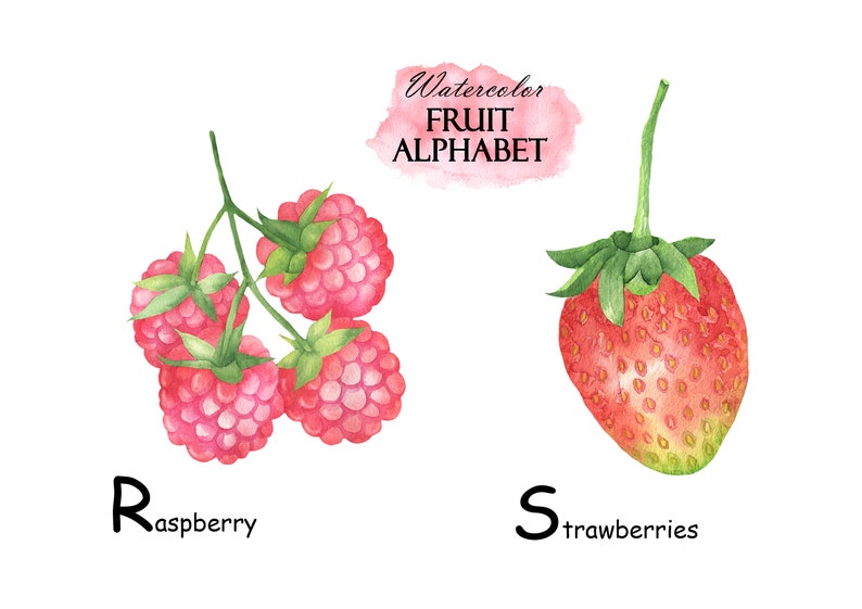 Watercolor Fruit Alphabet Clipart 2, Fruits ABC, Alphabet Poster ...