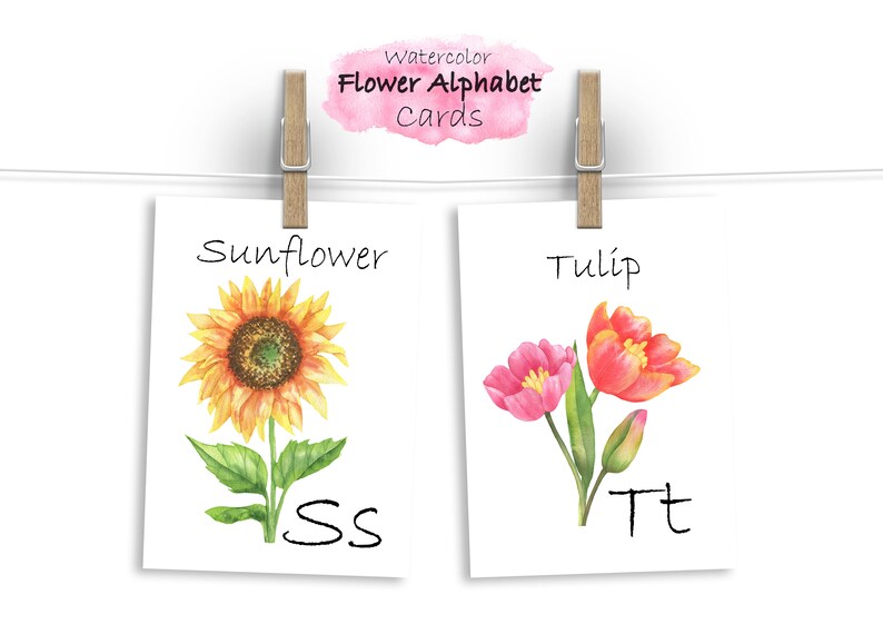 Watercolor Flower Alphabet Cards, Montessori Learning (digital Download ...