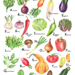 Watercolor Vegetable Alphabet Clipart, Vegetables ABC, Alphabet Poster ...