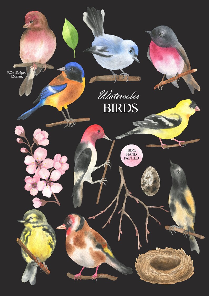 Watercolor Birds Clipart, Spring Bird Clip Art, Colorful Birds on ...